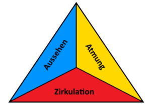 TICLS | Rettungsdienst FactSheets