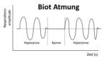 Pathologische Atemmuster | Rettungsdienst FactSheets