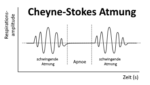 Pathologische Atemmuster | Rettungsdienst FactSheets